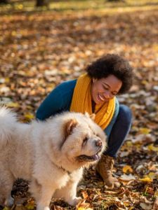 Mini Chow Chow | Size, Temperament, Training, Cost & More | Chow Chow ...